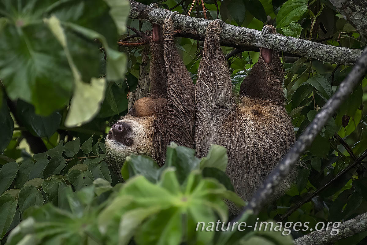 Elevate Your Skills: Essential Nature Photography Tips for Every ...